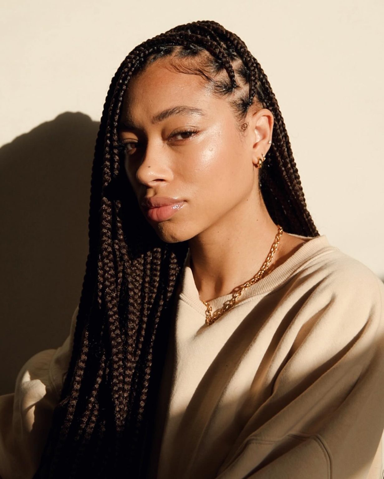 31 Trendsetting Braid Hairstyles for Black Women in 2024 - Get Inspired ...