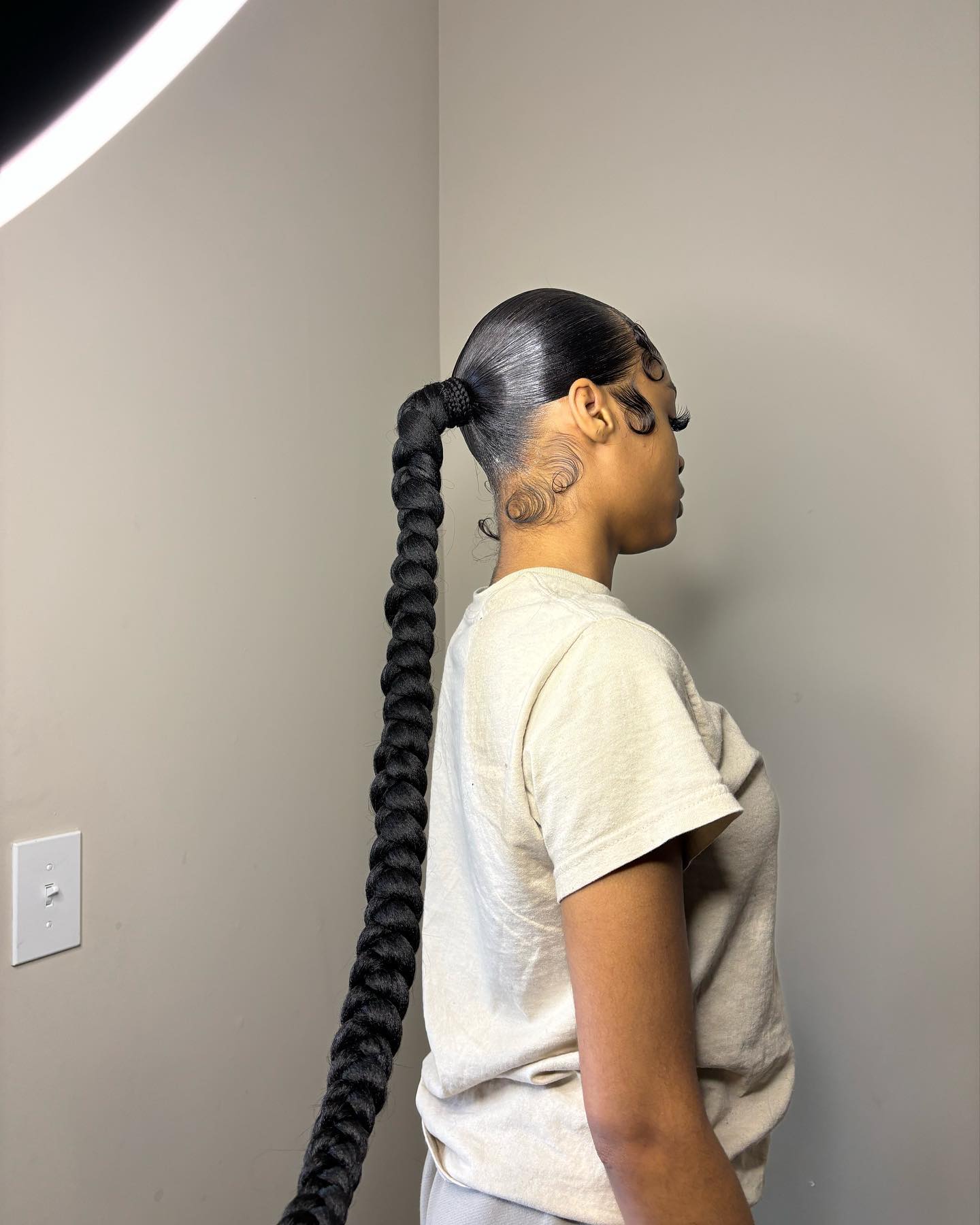 25 Braided Ponytail Hairstyles to Elevate Your Style – Stunning Ideas ...