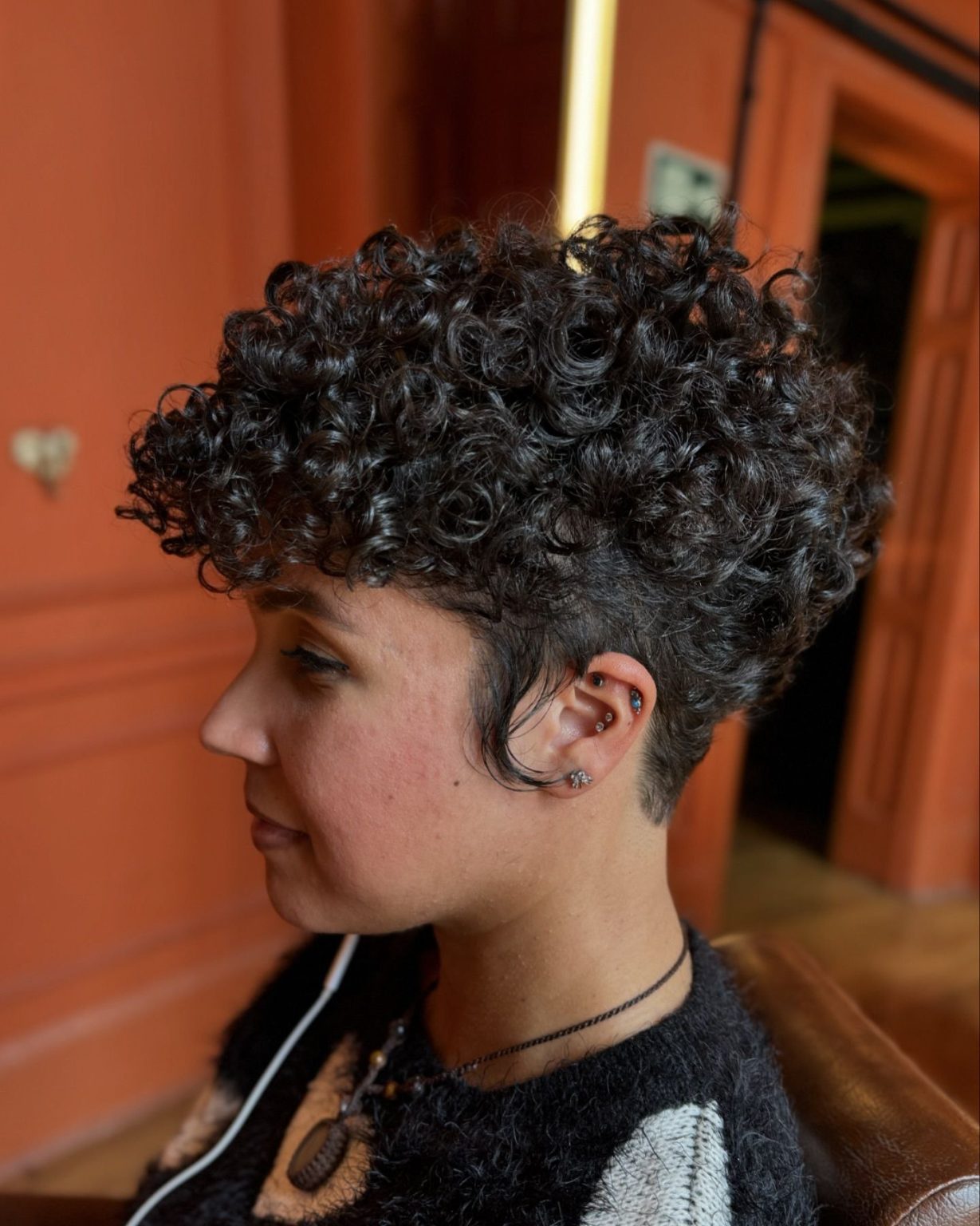 25 Pixie Cut Curly Hair Ideas to Rock – Perfect for All Face Shapes and ...