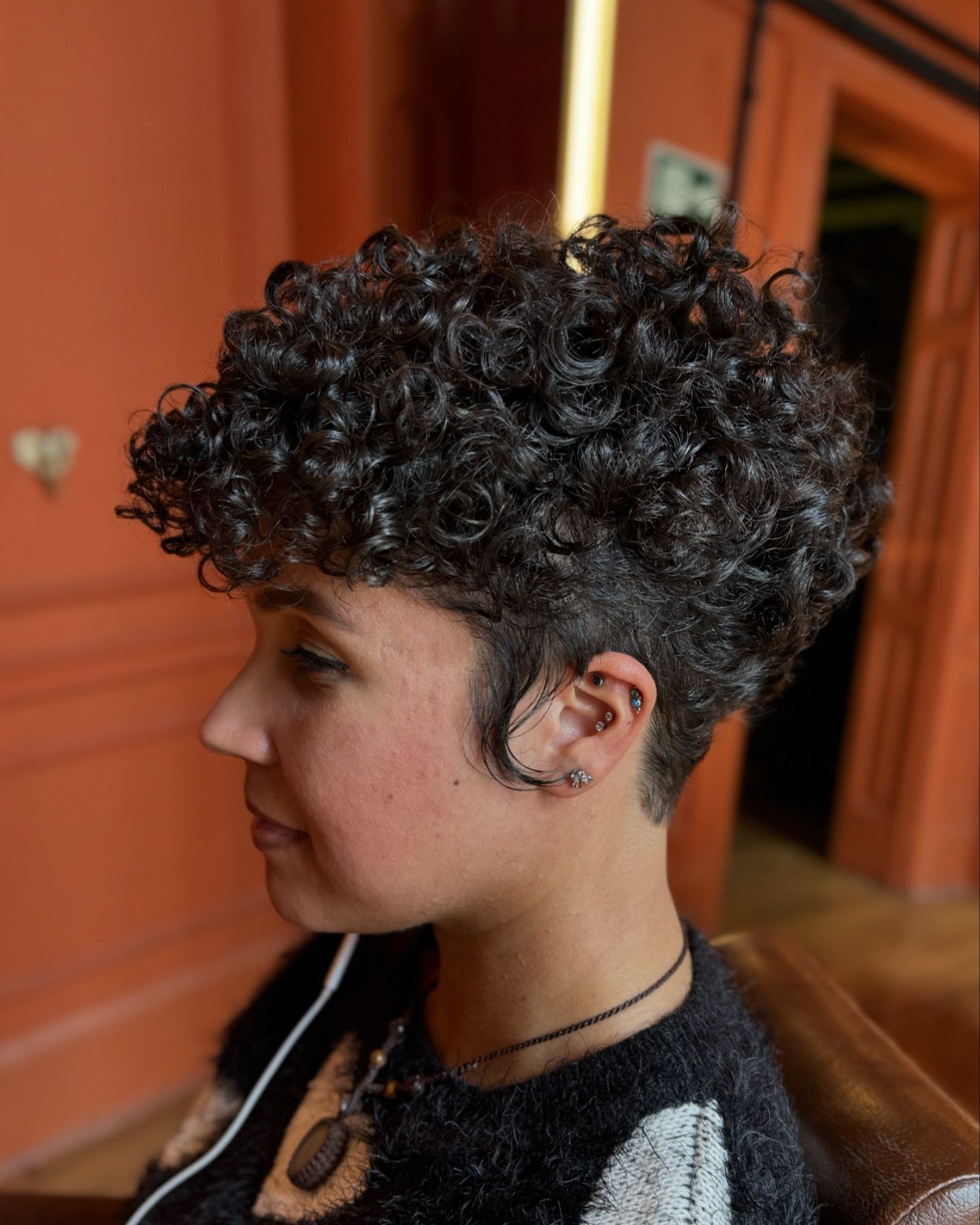 25 Pixie Cut Curly Hair Ideas to Rock – Perfect for All Face Shapes and ...