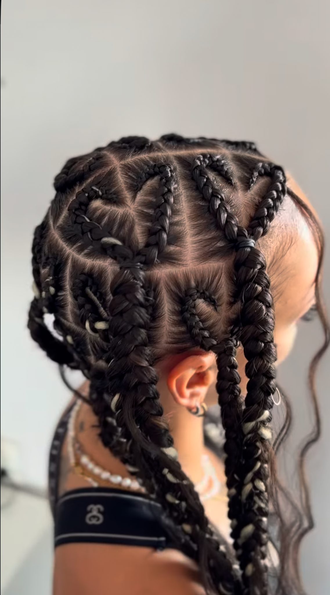 30 Box Braids Hairstyles That Will Transform Your Look: Stunning Ideas ...