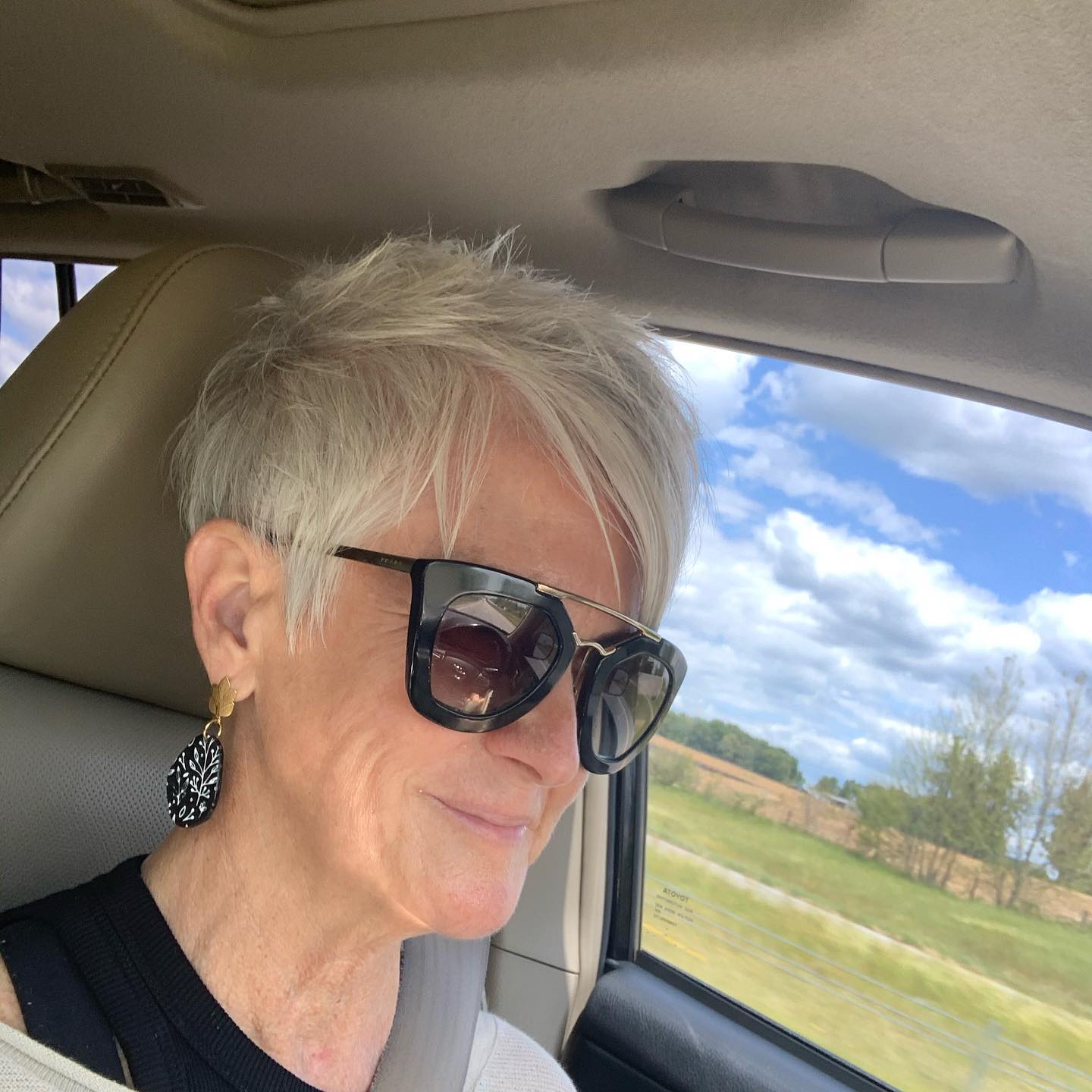 30 Gray Hair Pixie Cuts 2025 That Will Make You Look Stylish, Modern ...