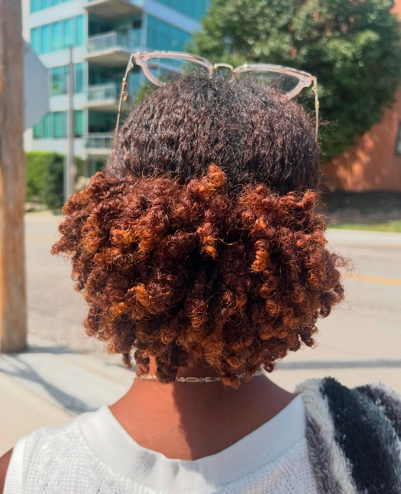 25 Stunning 3C Hairstyles to Rock in 2025: Embrace Your Natural Curls ...
