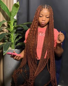 35 Braid Hairstyles For Black Women 2025 – Stunning, Trendy And Easy ...