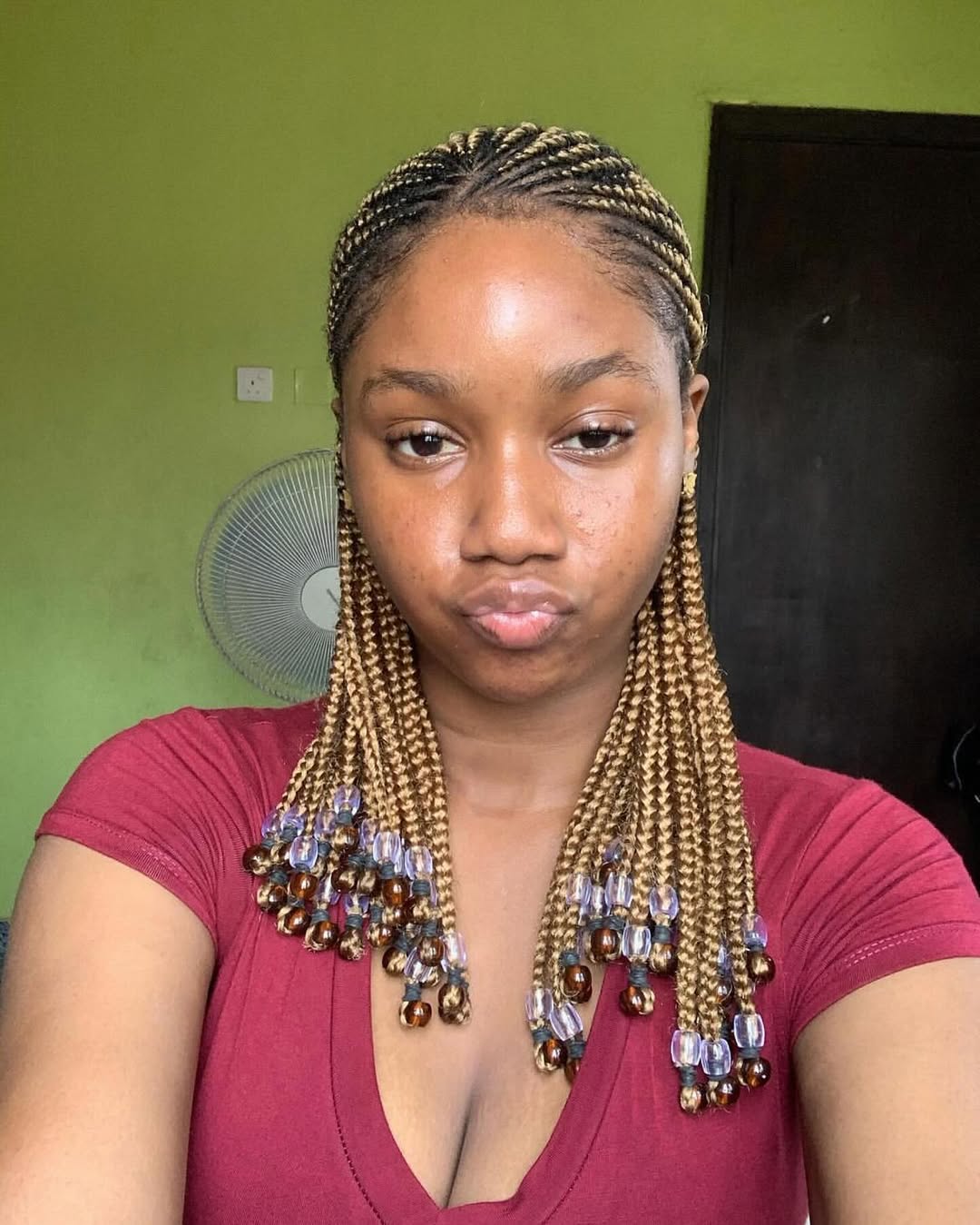 35 Braid Hairstyles for Black Women 2025 – Stunning, Trendy and Easy ...