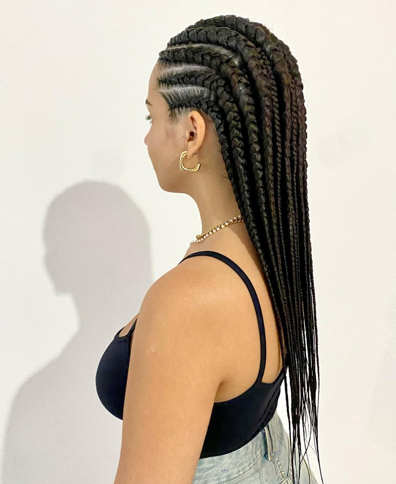 29 Fulani Braids Hairstyles 2025 for Bold and Stylish Women - divagaze.com
